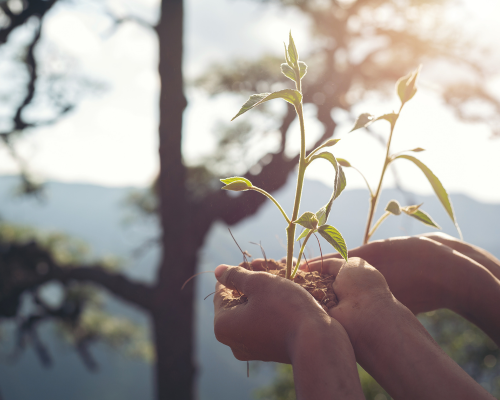 Turning action Into impact: Applus+ celebrates World Environment Day ...
