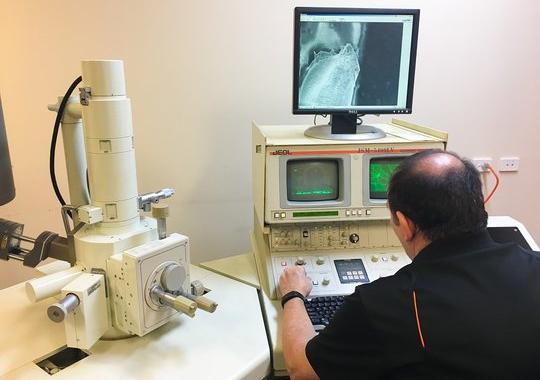 The Power of Magnification: A Focus on the Scanning Electron Microscope ...