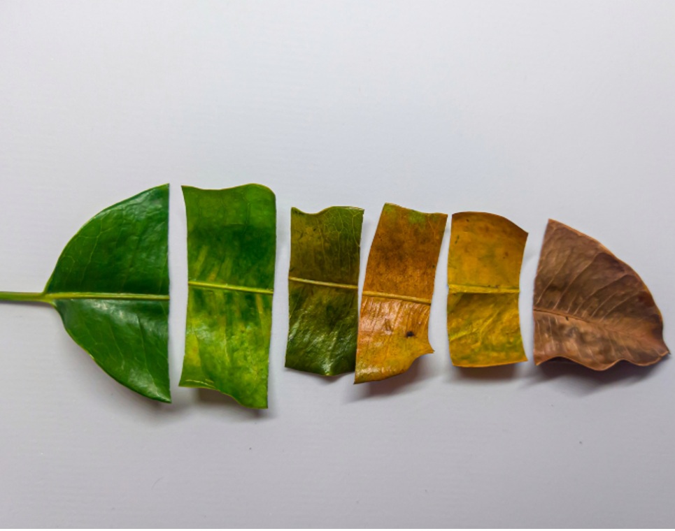 Life Cycle Assessment Services | Applus+ Qatar